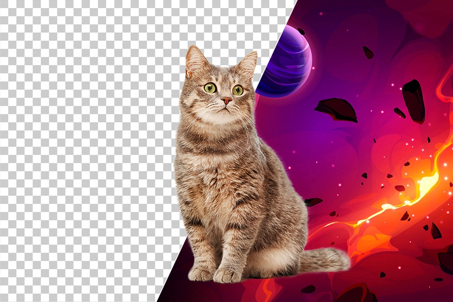 Free Transparent Background Maker: Create Transparent Backgrounds Online